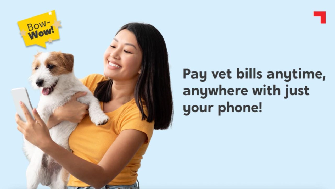 Services - Vet Cloud Software